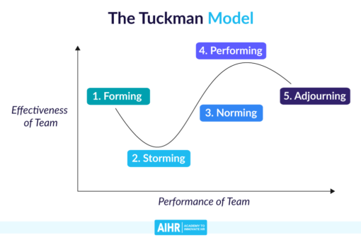 11 Team Effectiveness Models to Build High-Performing Teams - AIHR