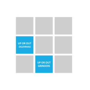 The 9 Box Grid: A Practitioner’s Guide - AIHR