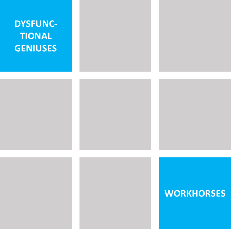 The 9 Box Grid: A Practitioner’s Guide - AIHR